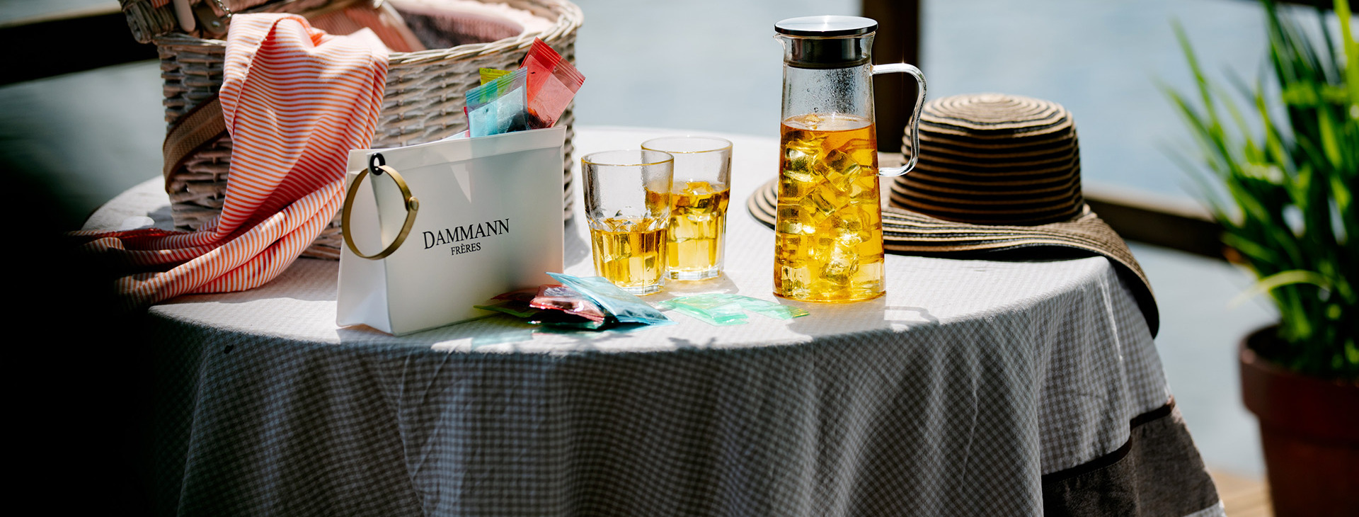 The finest varieties of tea directly from producers